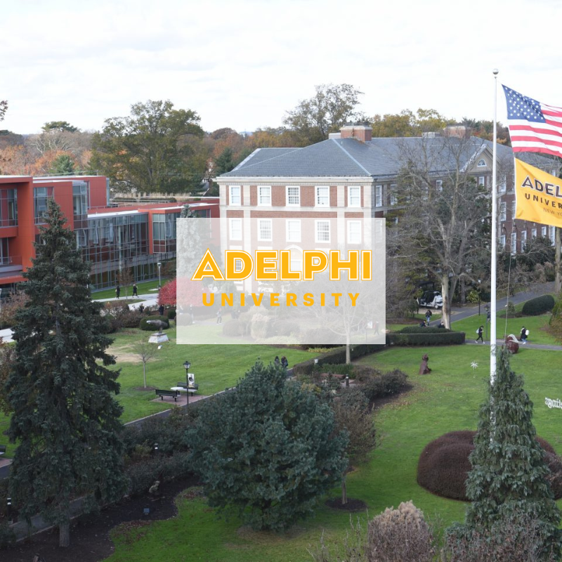 ADELPHI UNIVERSITY — RITE APPLY